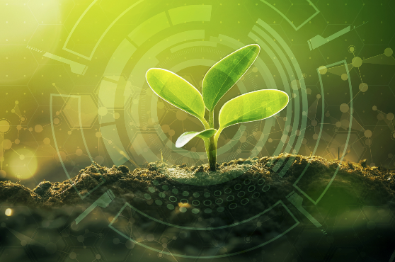 AgVantage Software, Inc.