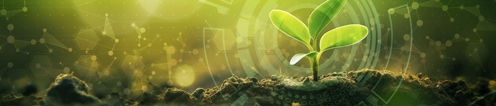 AgVantage Software, Inc.